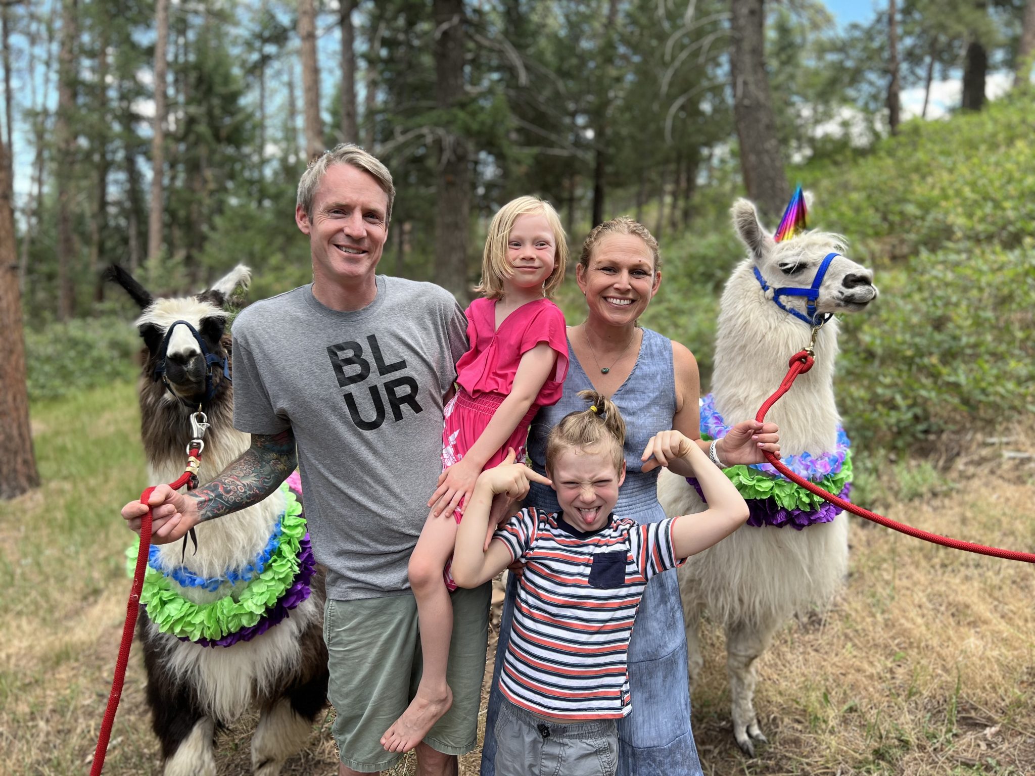 CRMS Launches Seth Cobb '99 into Animation Career - Colorado Rocky ...